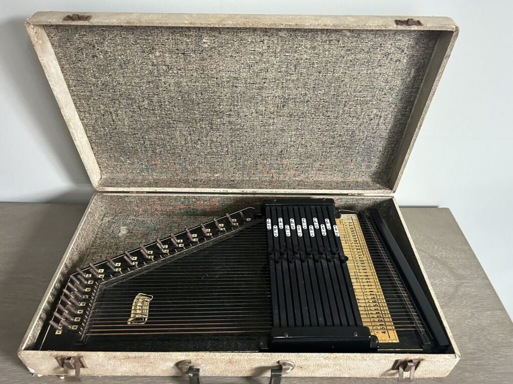 Autoharp Case