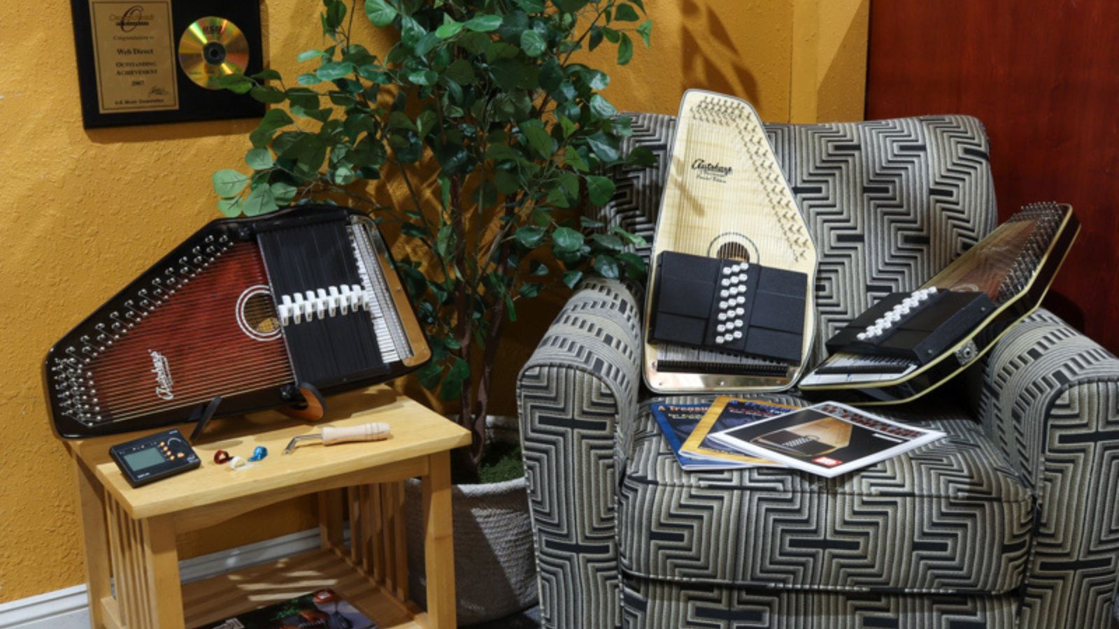 The Best Autoharp Accessories You Need