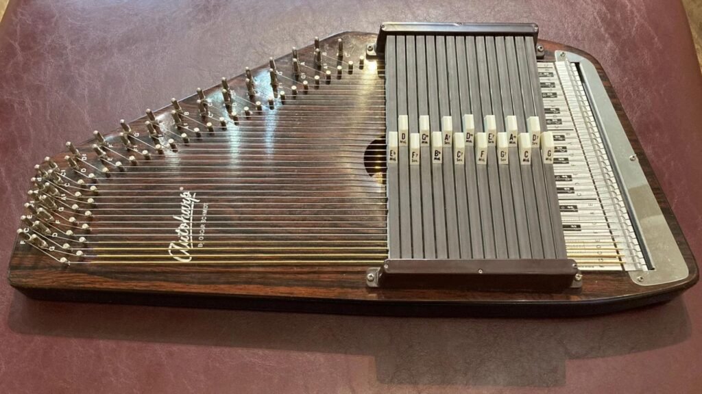 Top 5 Autoharps for New Pickers