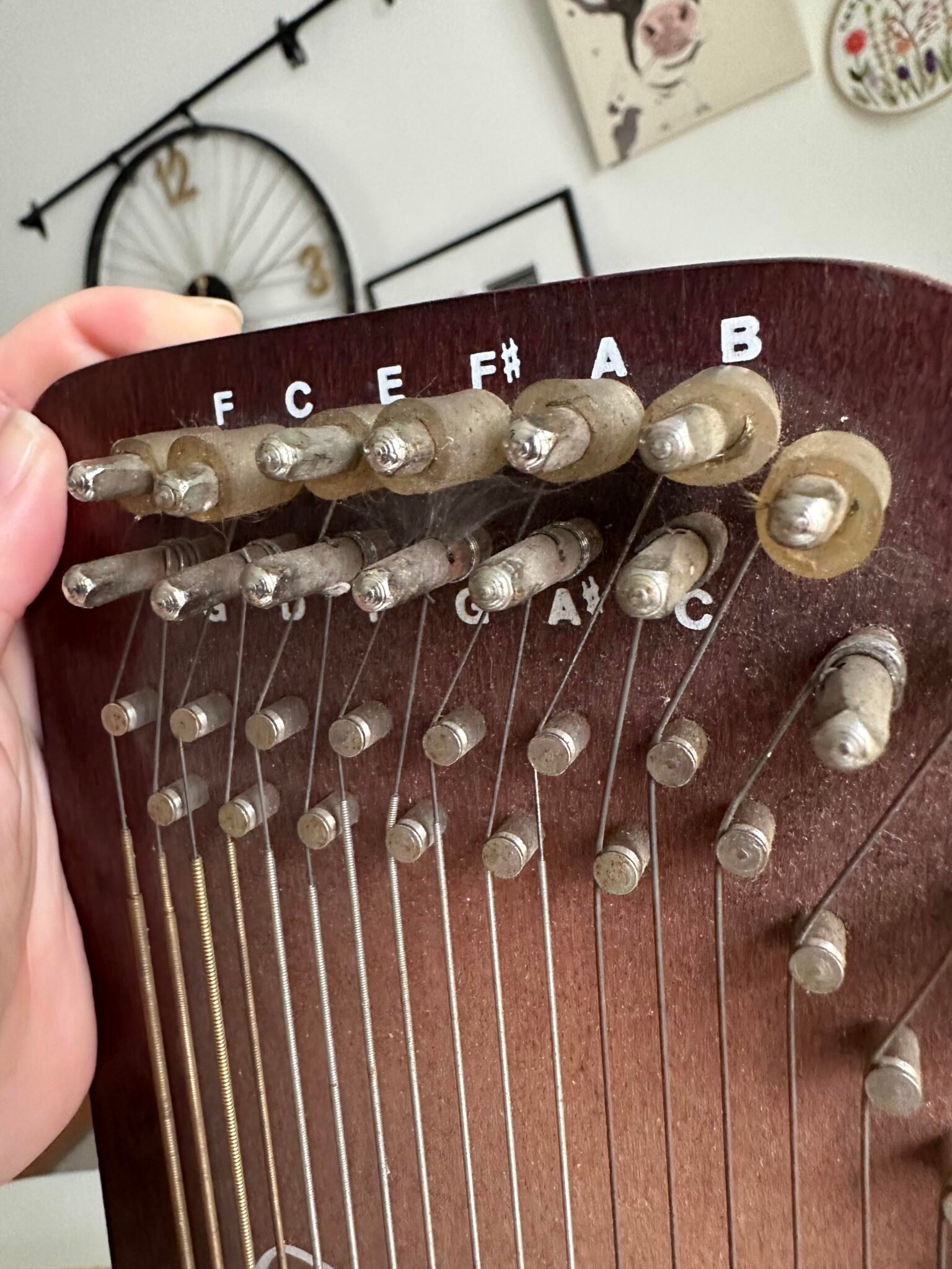 Cleaning and Storing Your Autoharp
